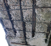 Steel Reinforcement Primers - NCC Concrete Repair Site